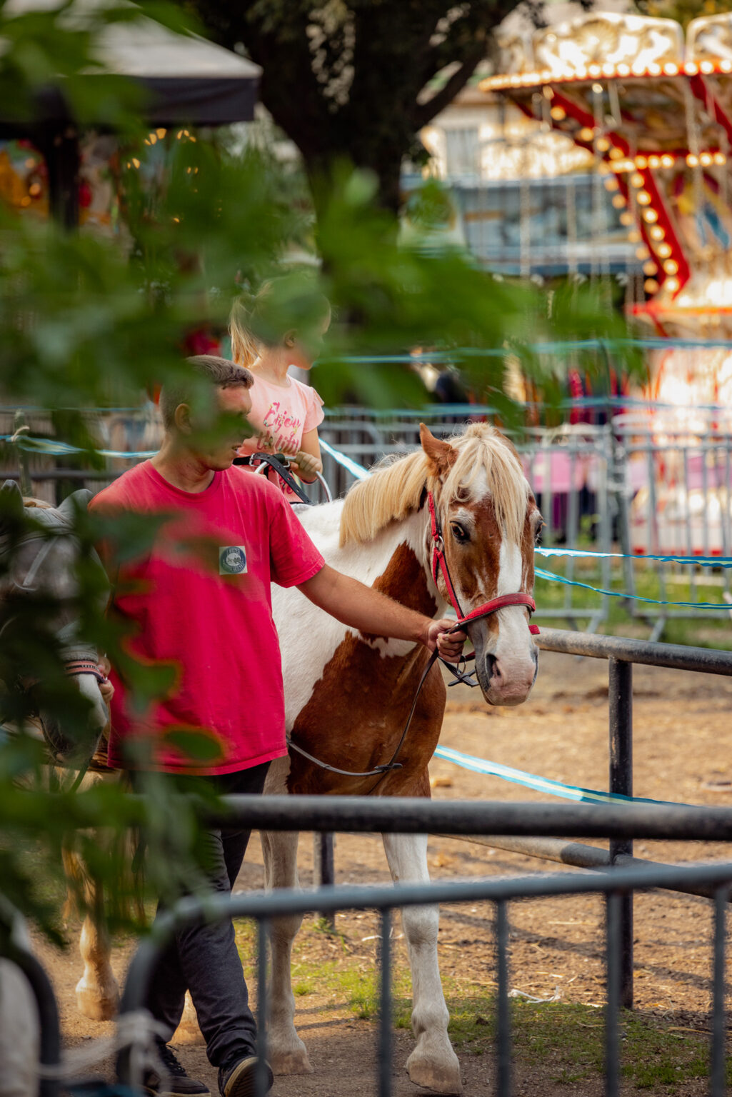 Prater.at | Your Wiener Prater Guide